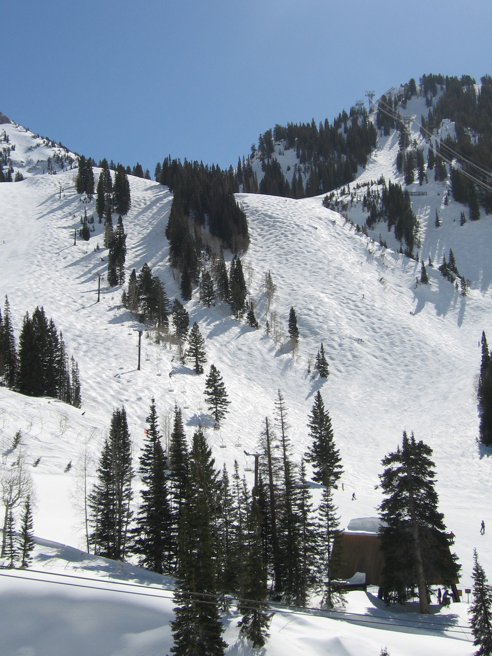 Peruvian – Snowbird, UT – Lift Blog