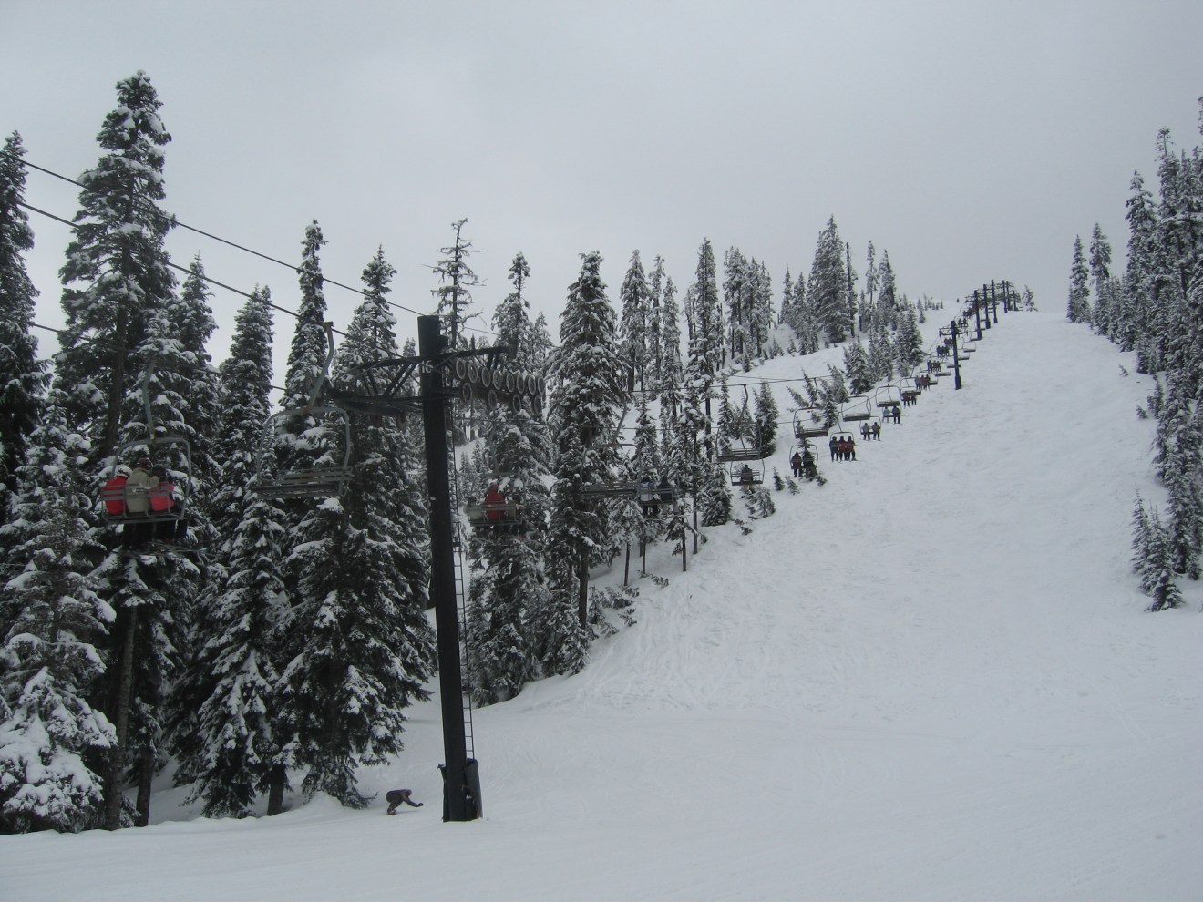 Silver Fir – The Summit at Snoqualmie, WA – Lift Blog