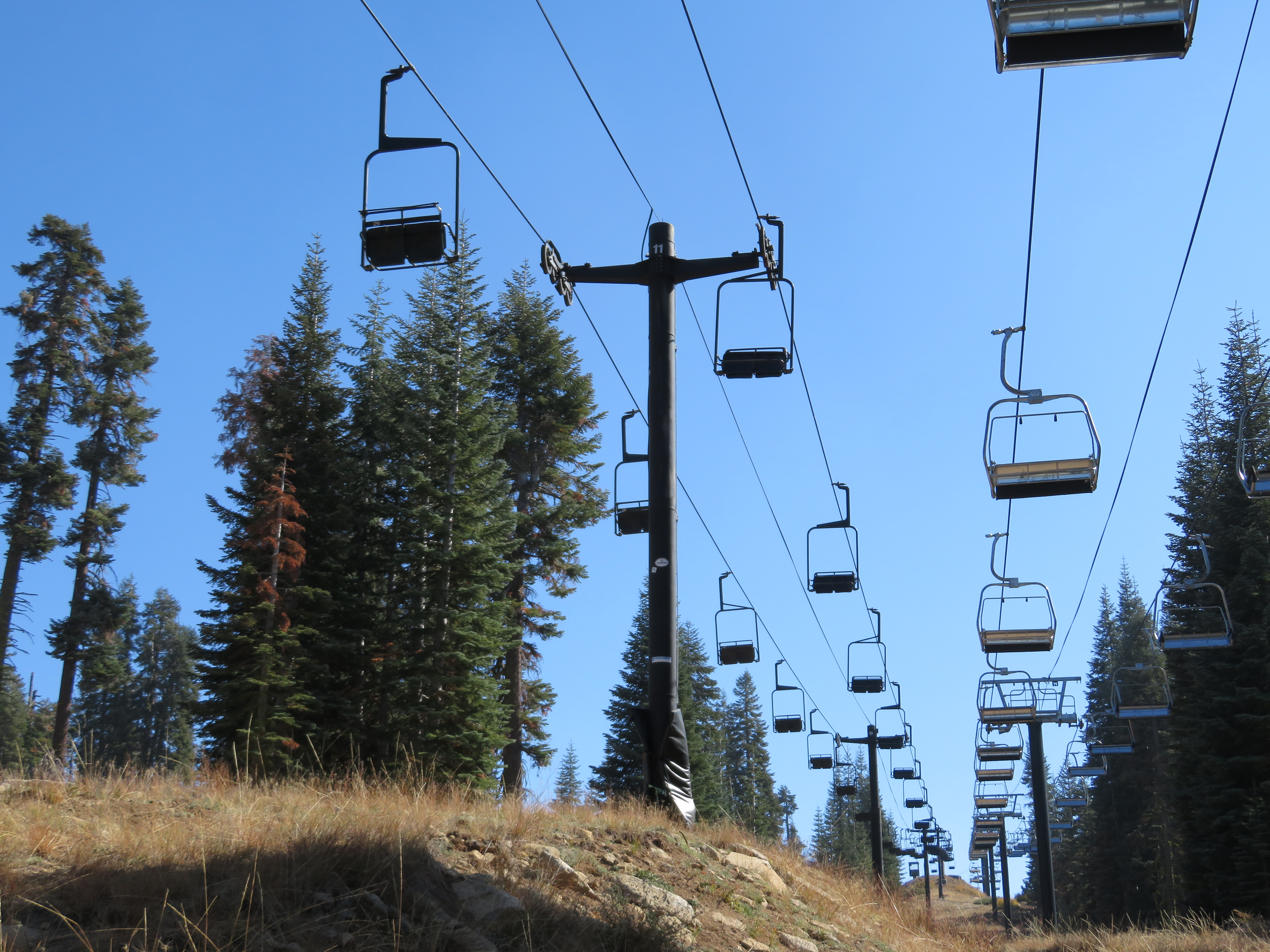 Red Fox – Badger Pass, CA – Lift Blog