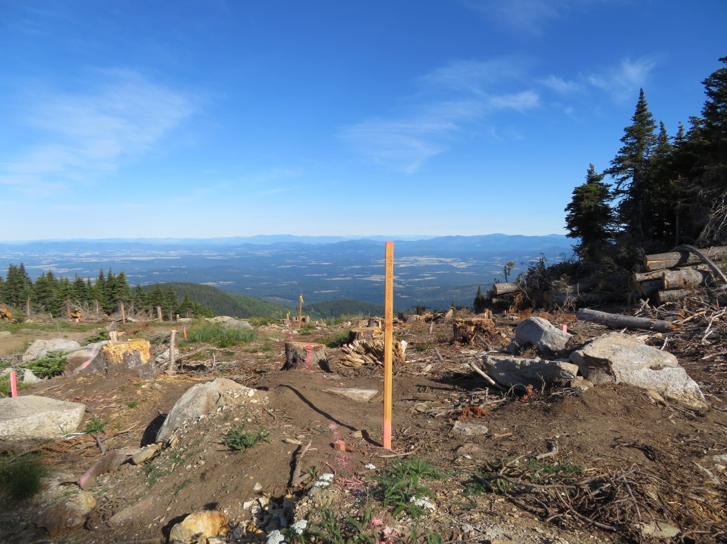 All Systems Go for Mt. Spokane’s Backside Expansion – Lift Blog