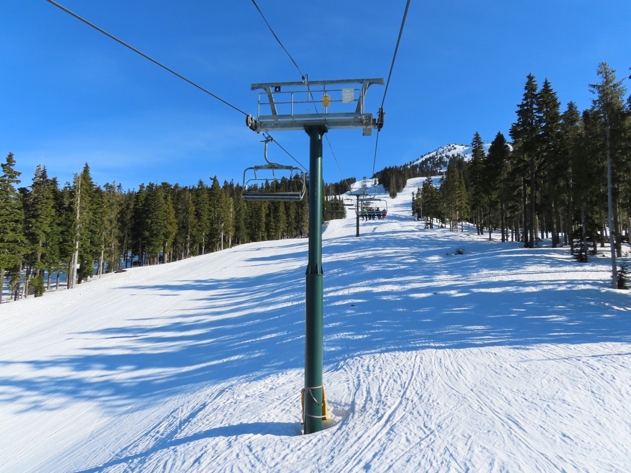 Hawk Express – Mt. Washington, BC – Lift Blog