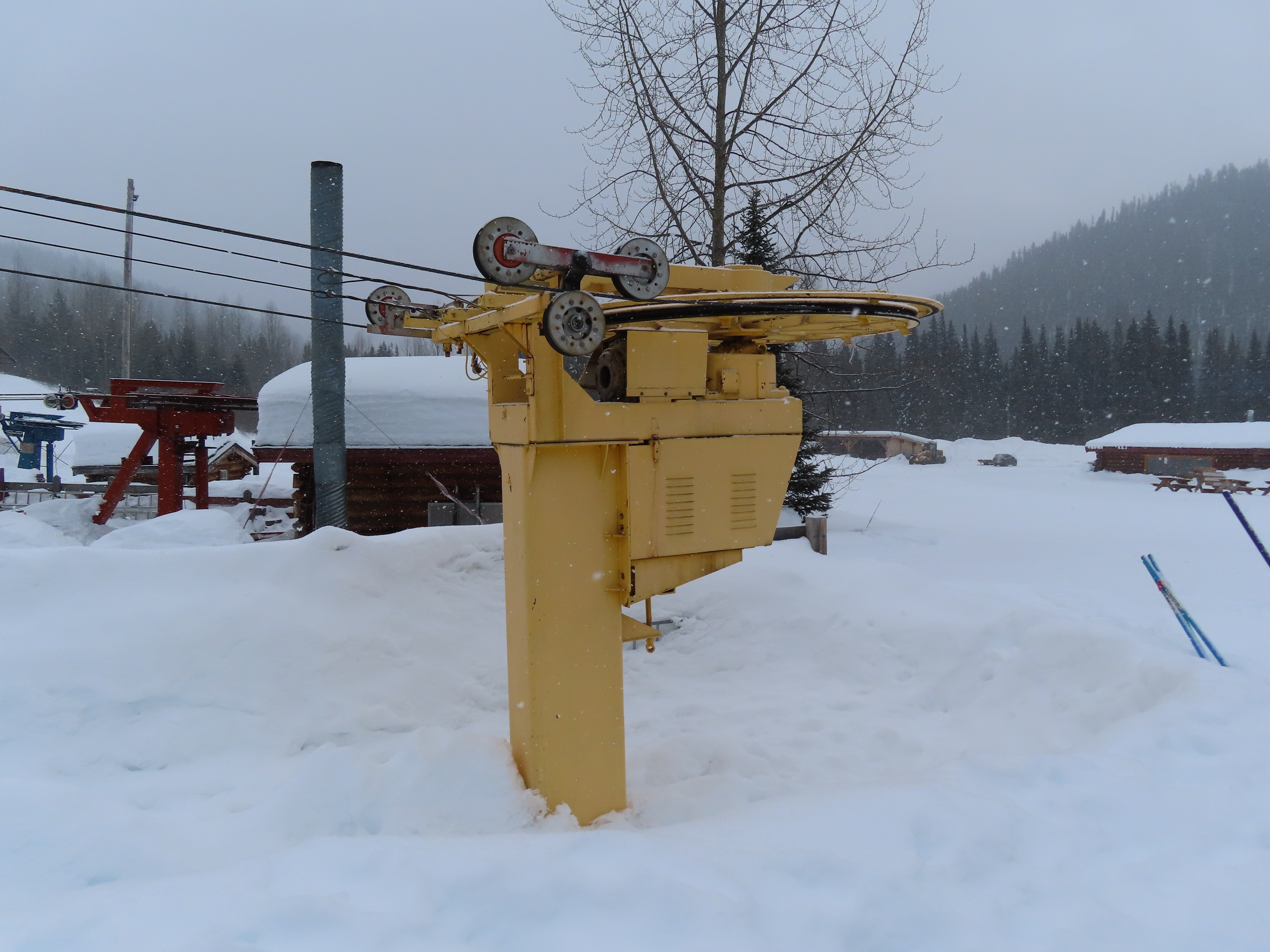 Yellow – Troll, BC – Lift Blog